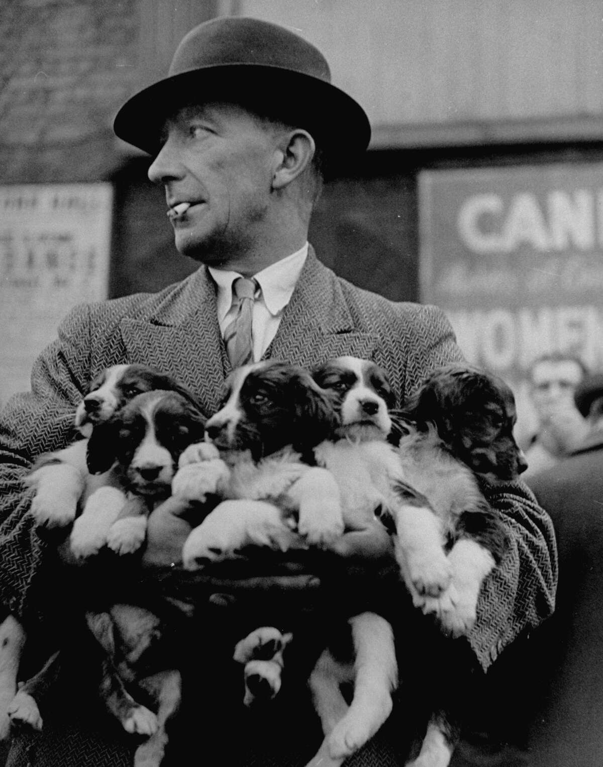 Historical photos of dogs being adorable