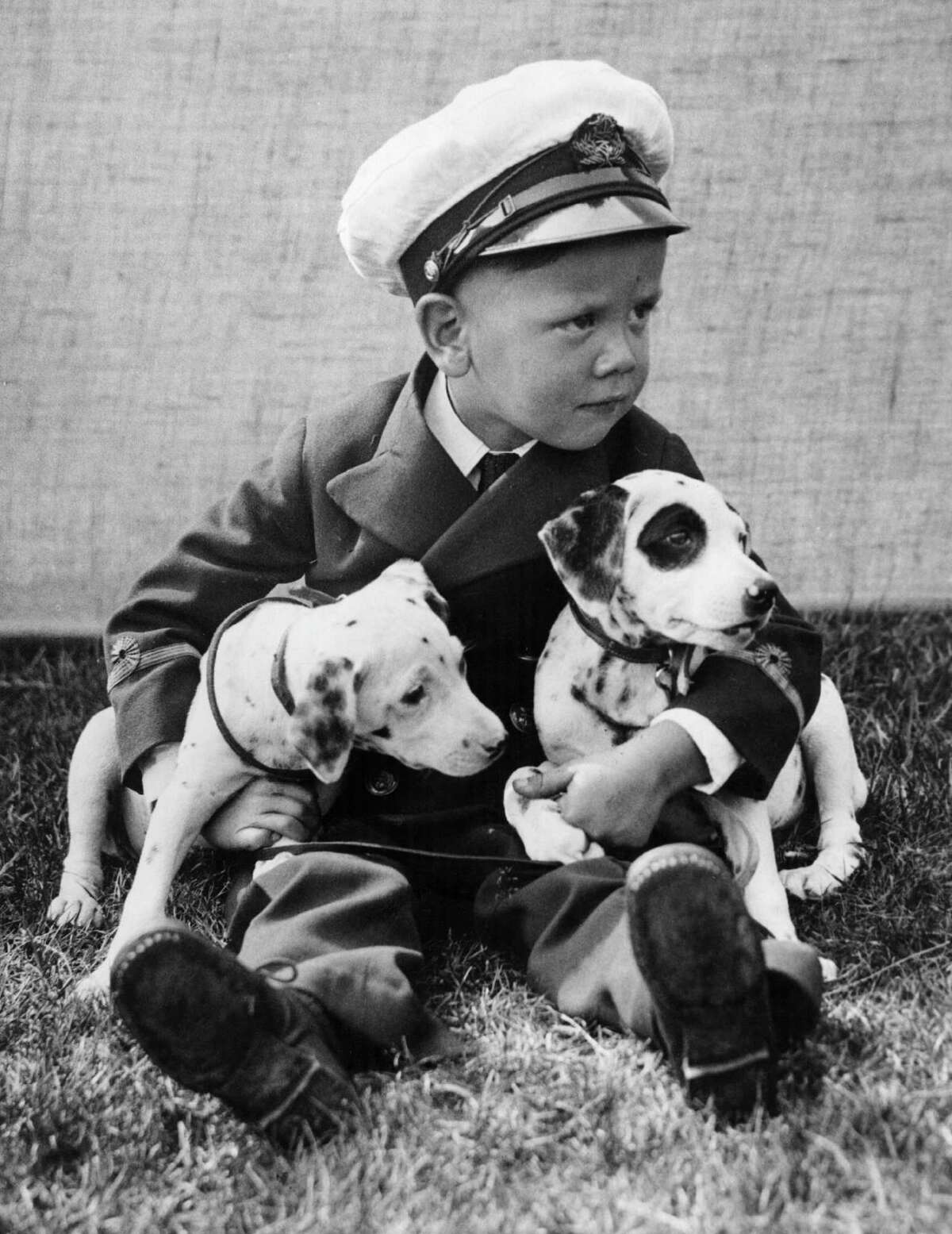Historical photos of dogs being adorable