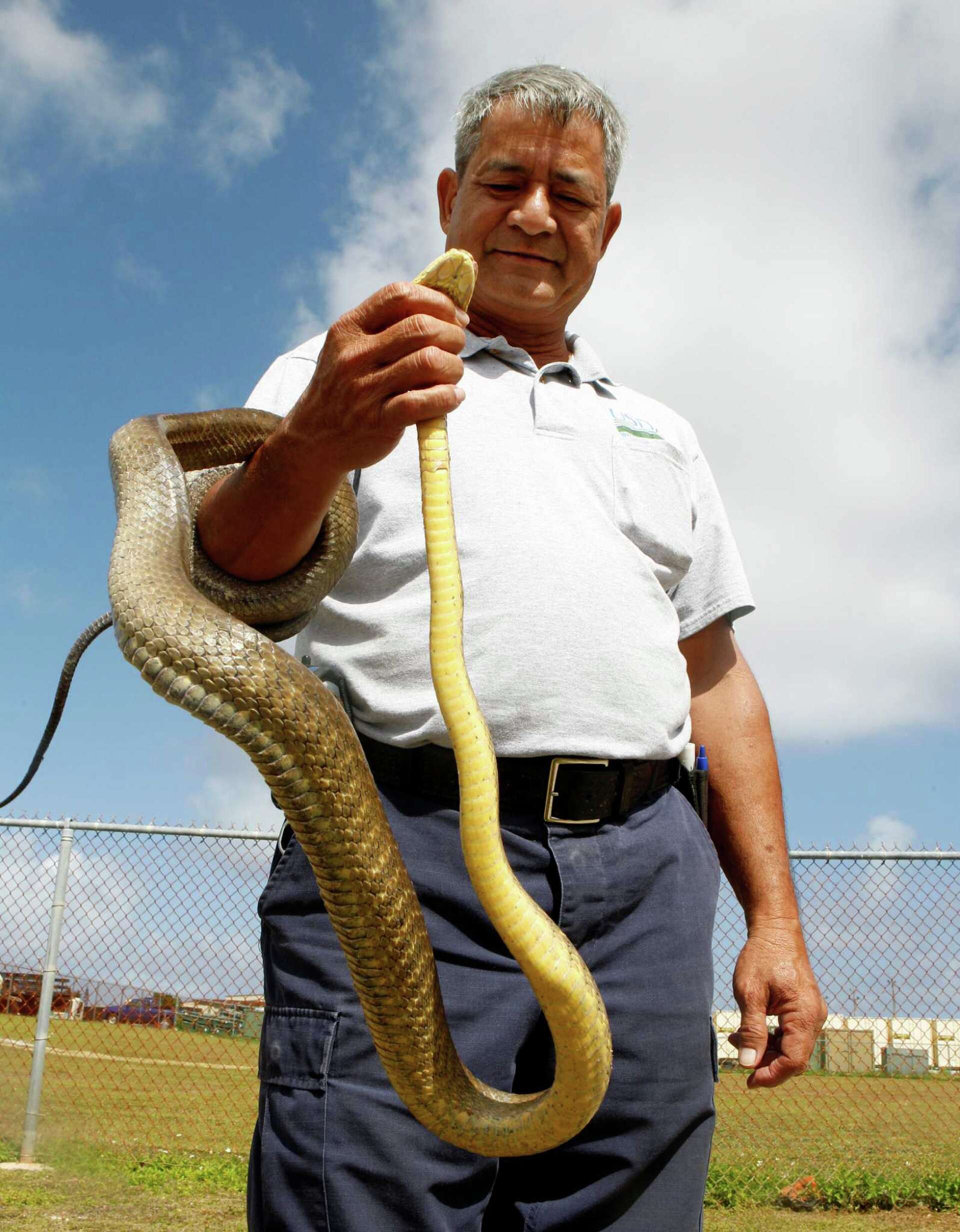 Mice on a plane to target snakes on an island