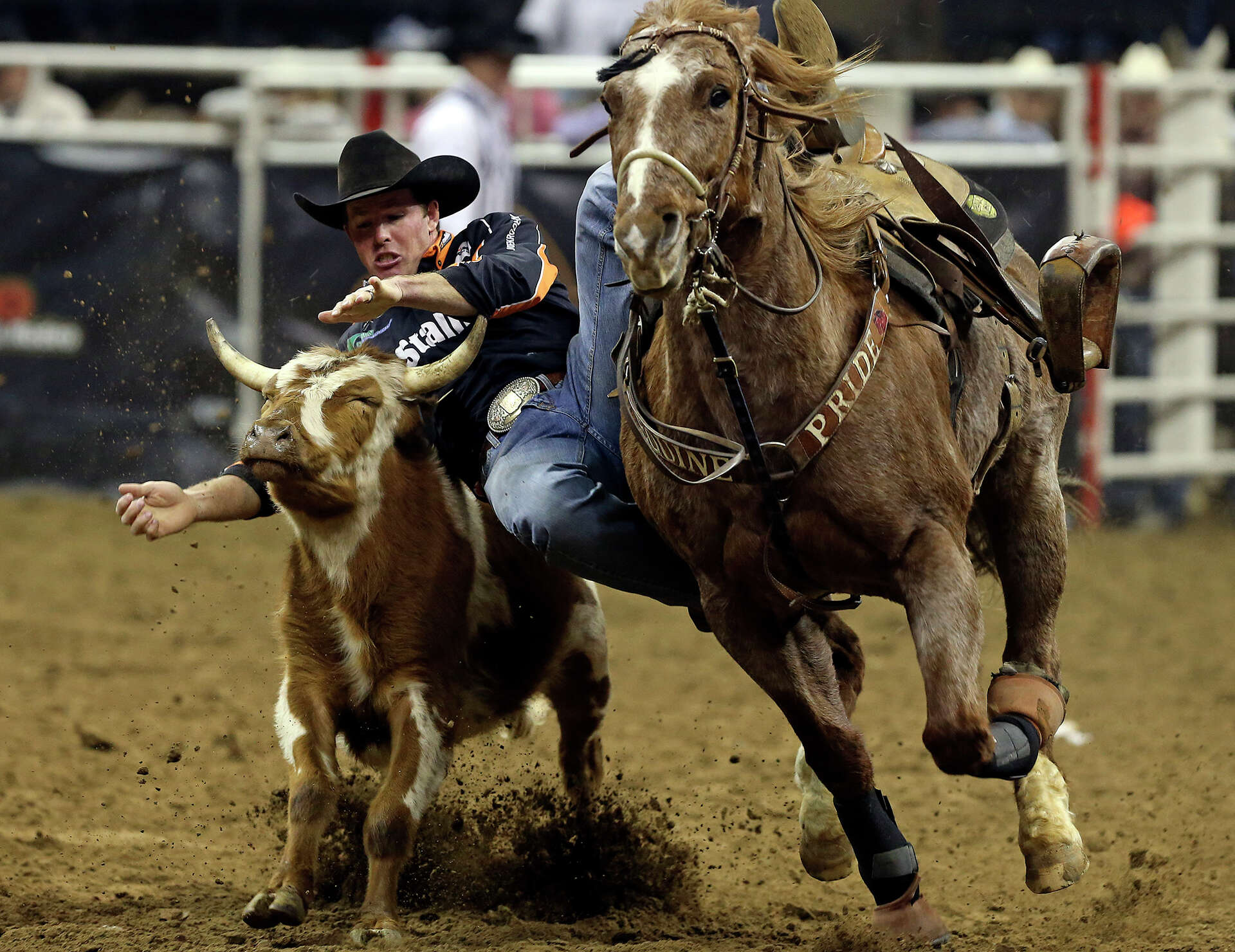 Steer wrestler helps instruction web site with Friday finish