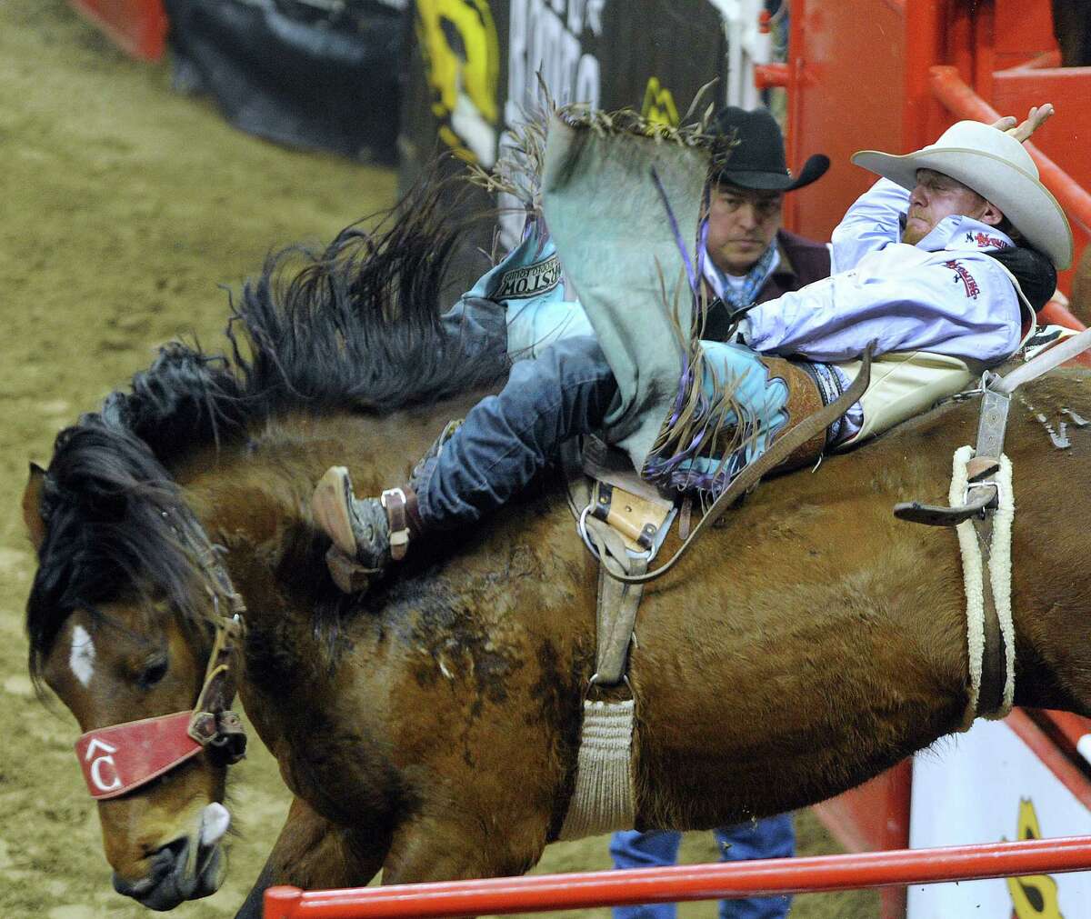 2013 S.A. Stock Show & Rodeo, Day 17