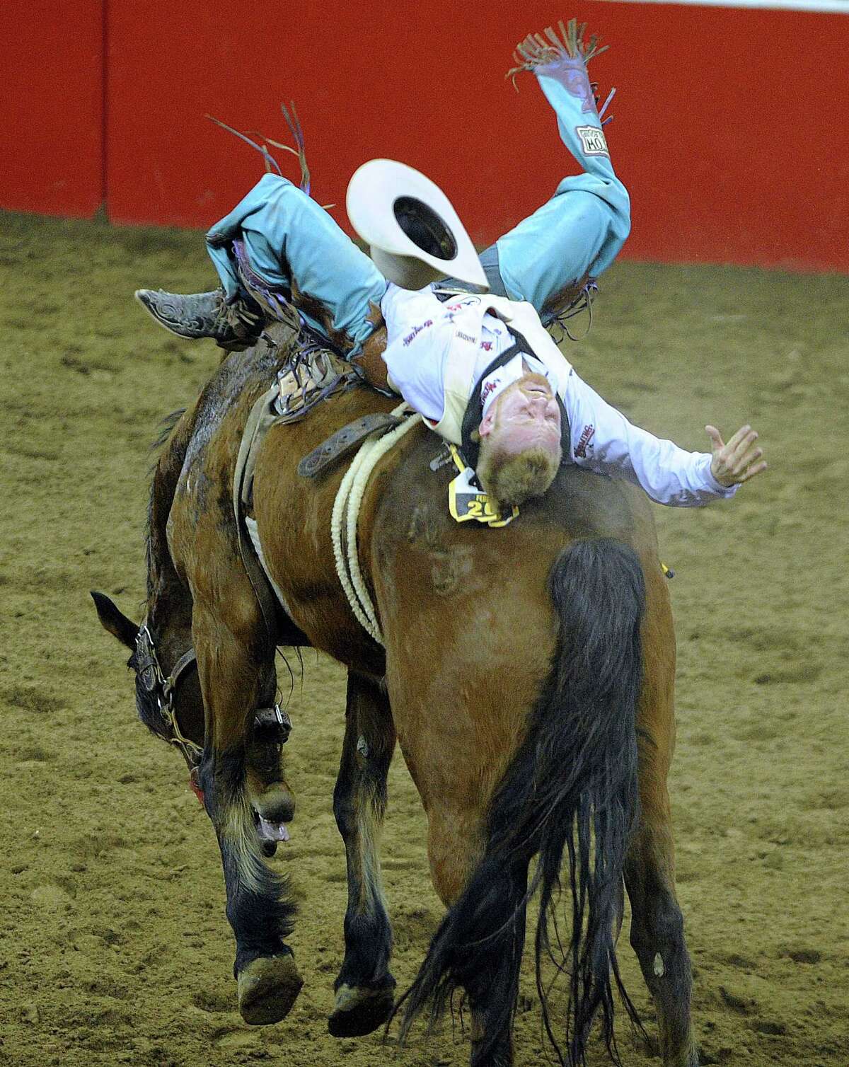 2013 S.A. Stock Show & Rodeo, Day 17