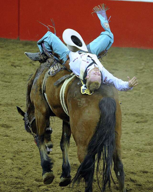 2013 S.A. Stock Show & Rodeo, Day 17