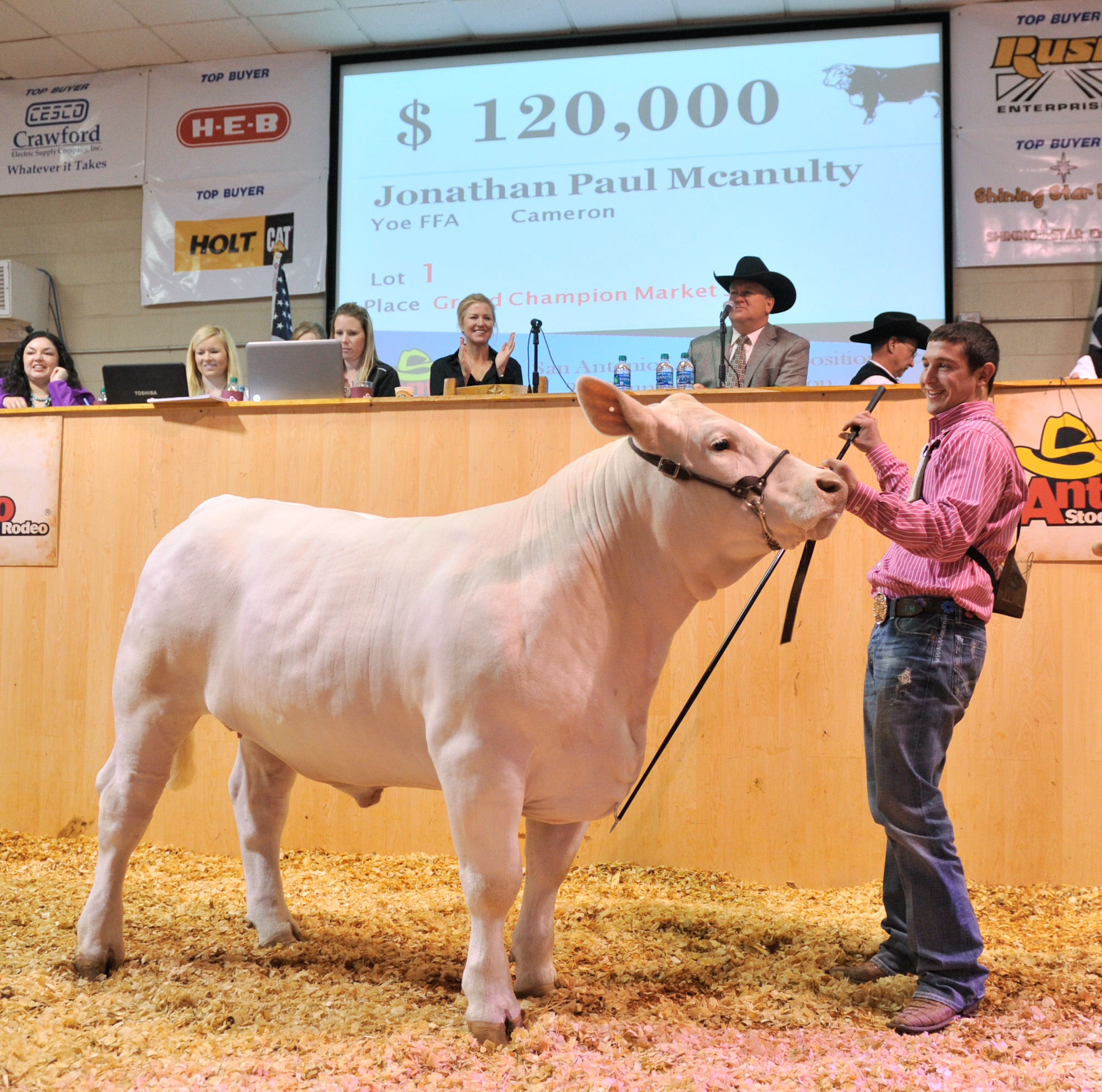 Championship steer breaks record at auction