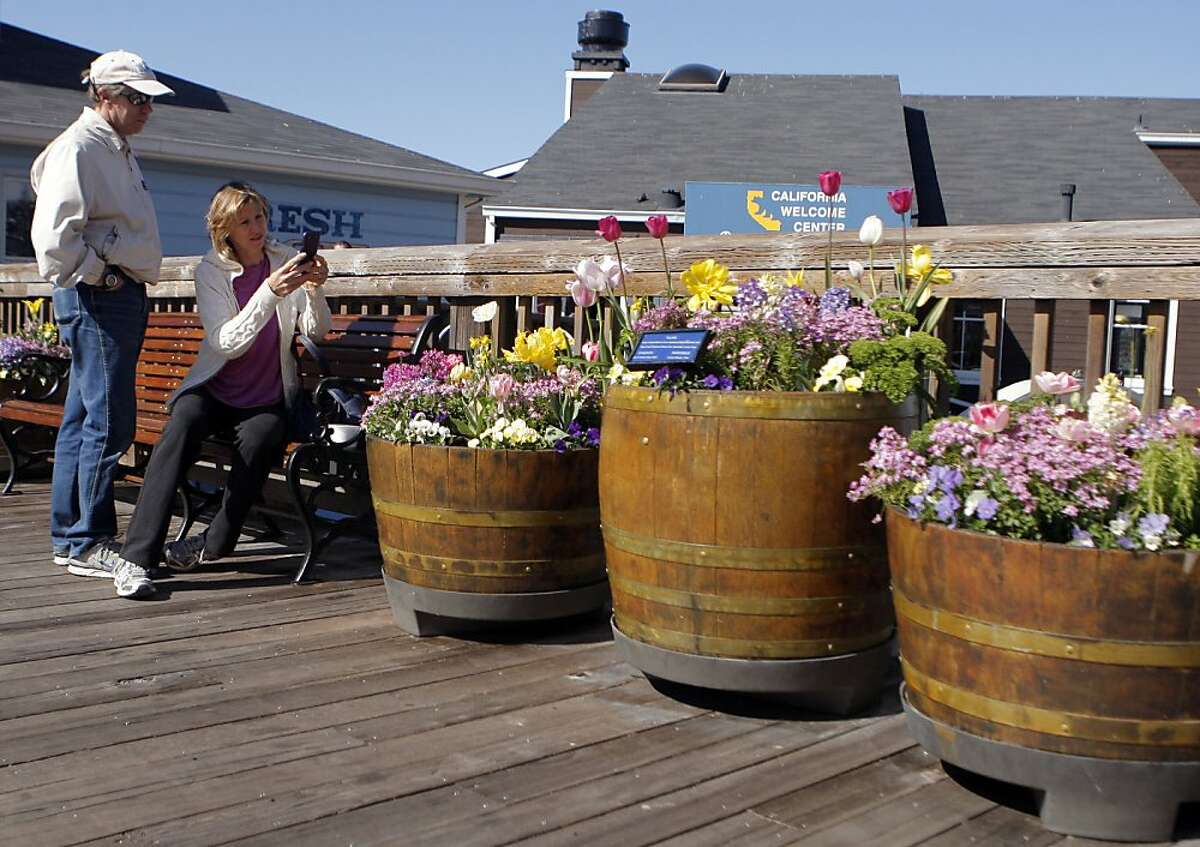 Pier 39 comes alive with Tulipmania