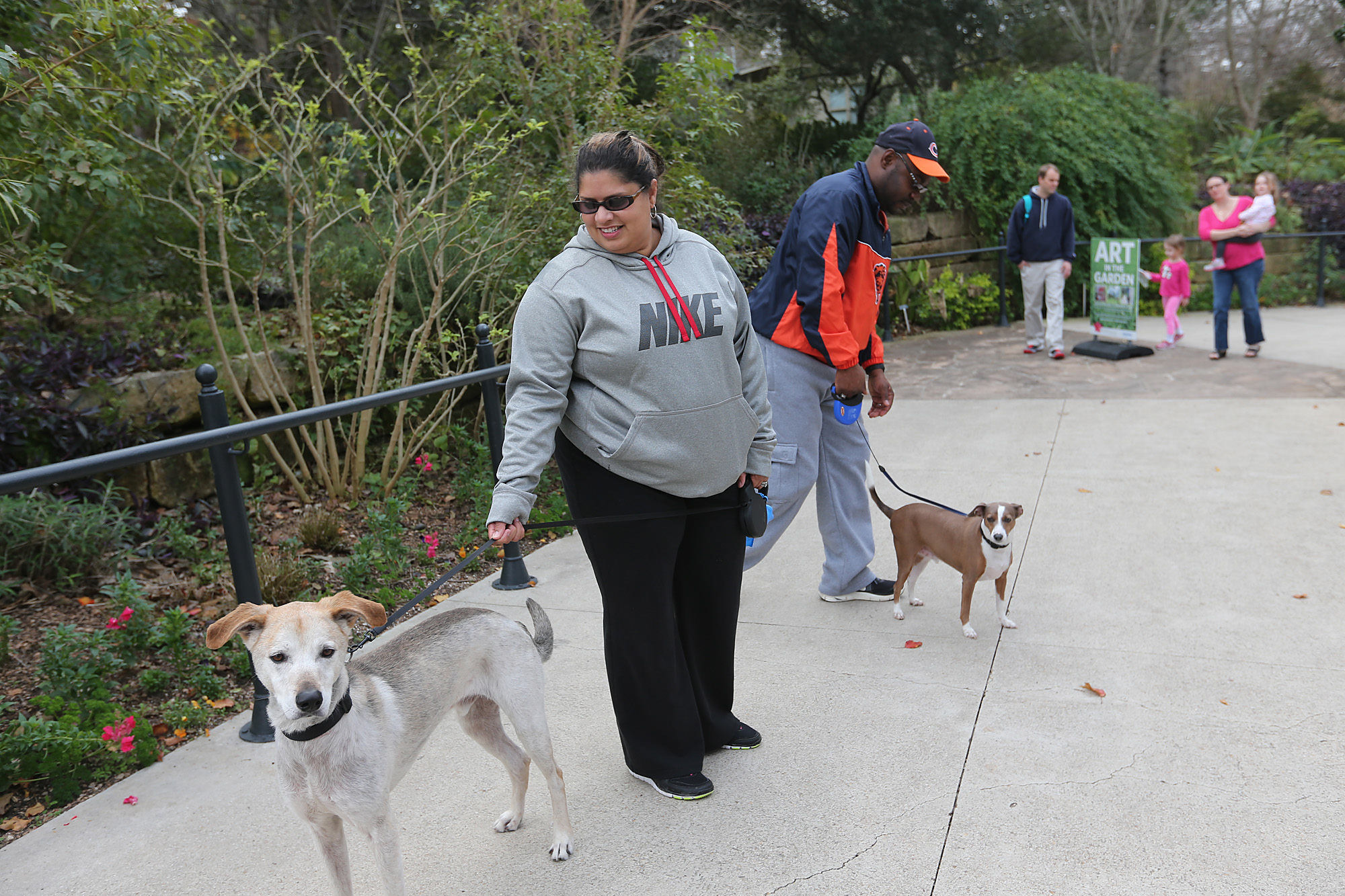 Animals Matter: Get the dogs out