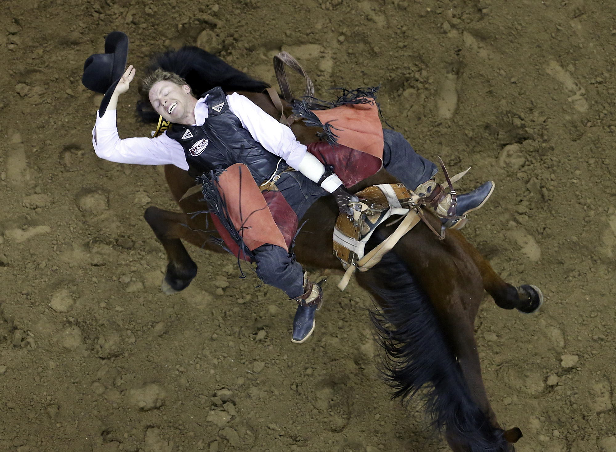 Best of the 2013 San Antonio Stock Show & Rodeo