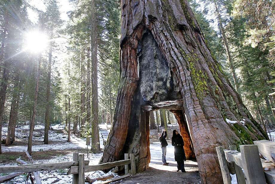 23 California state symbols (you didn't even know we had) - SFGate