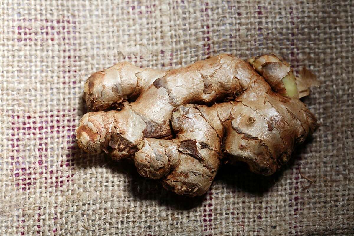 Ginger spots add spice to your travel