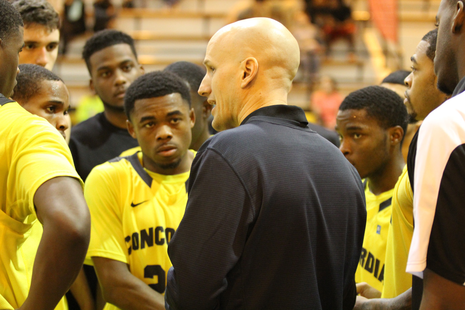 Concordia's system runs in the family