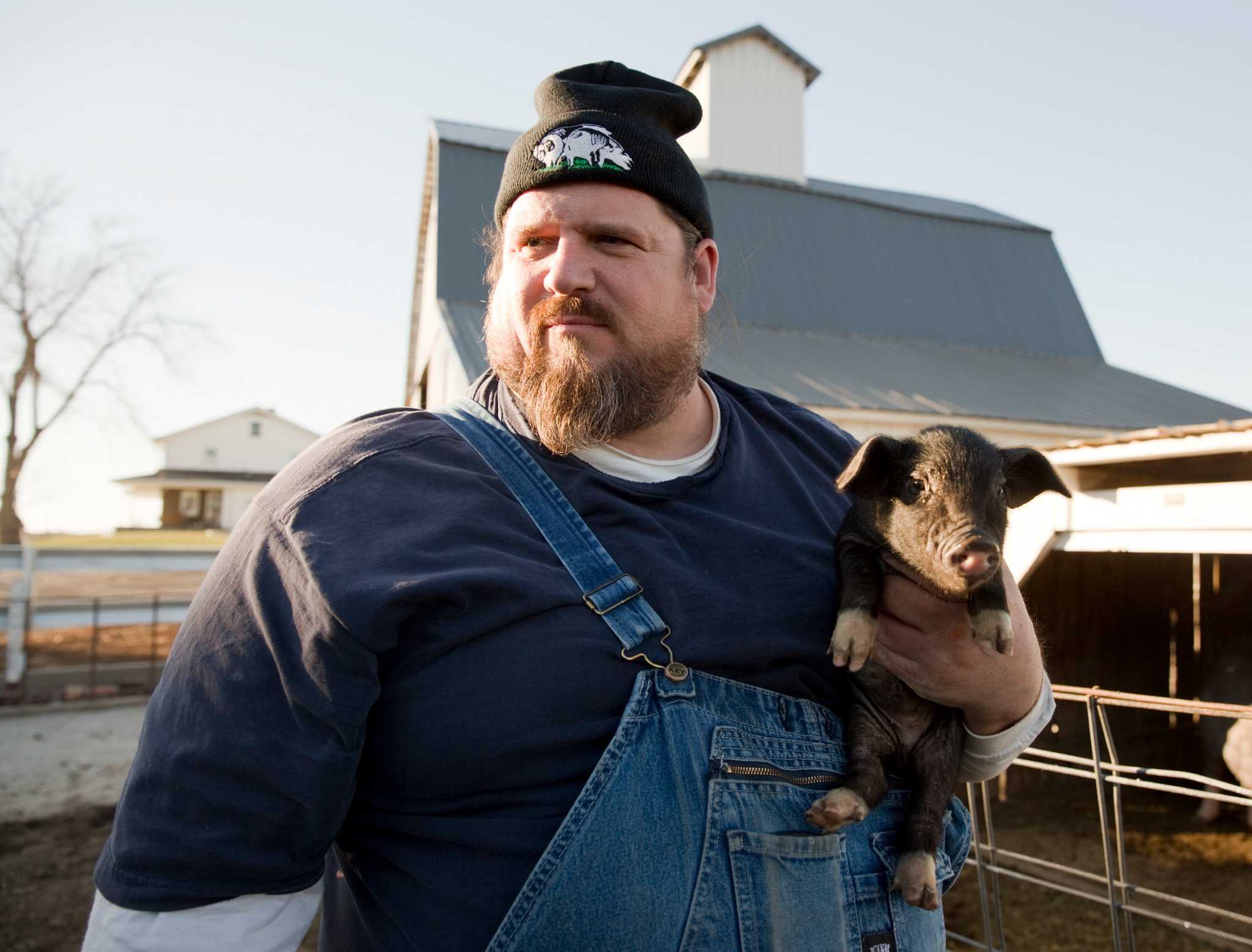 Iowa farmer says he's created perfect pig