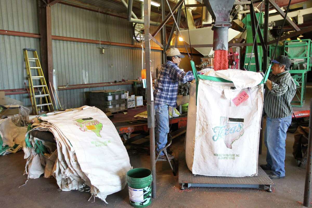 Texas rice farmers hit with another water blow