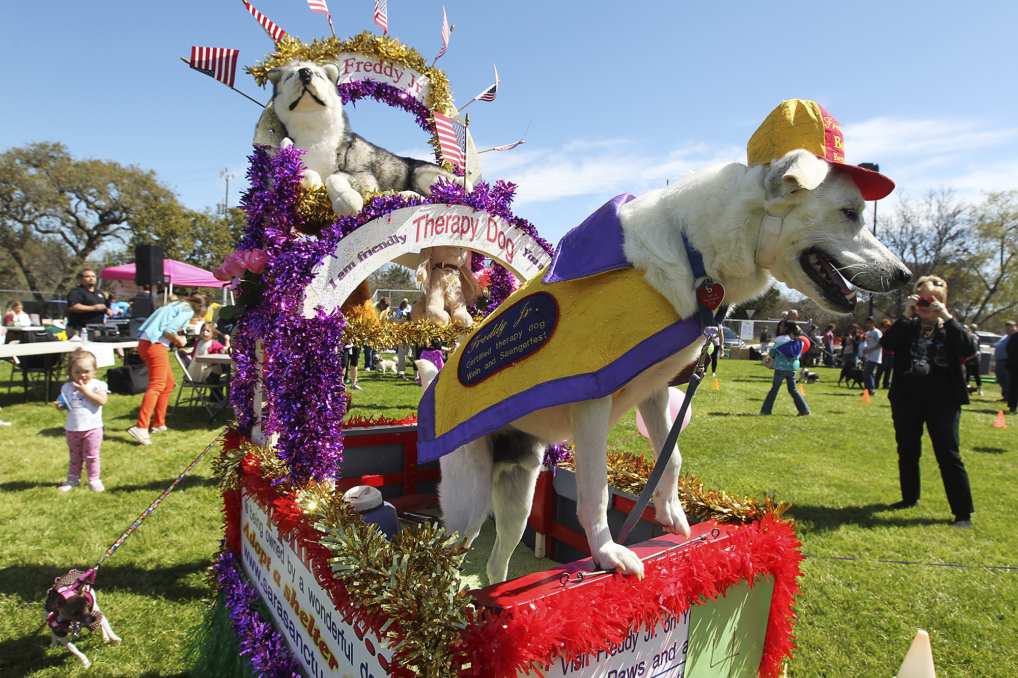 2013 Purim Pet Parade