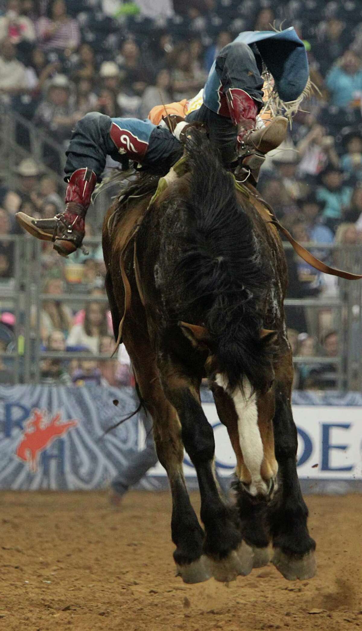 Bareback rider Feild on his way to being the best