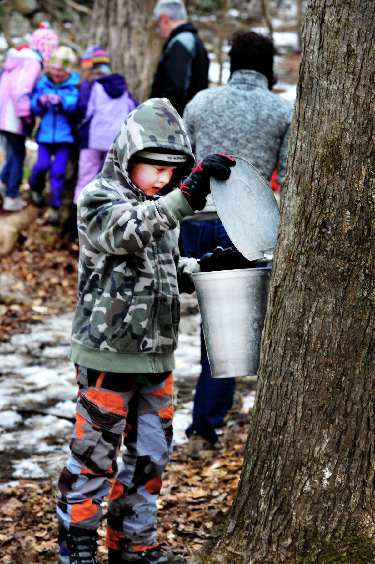 Maple syrup making time