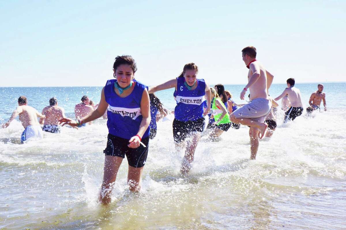 SEEN: Penguin plunge at Compo Beach