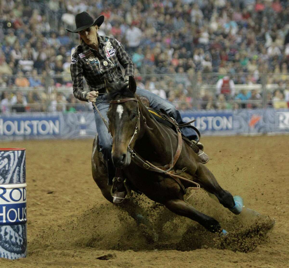 Which RodeoHouston animals are insured?