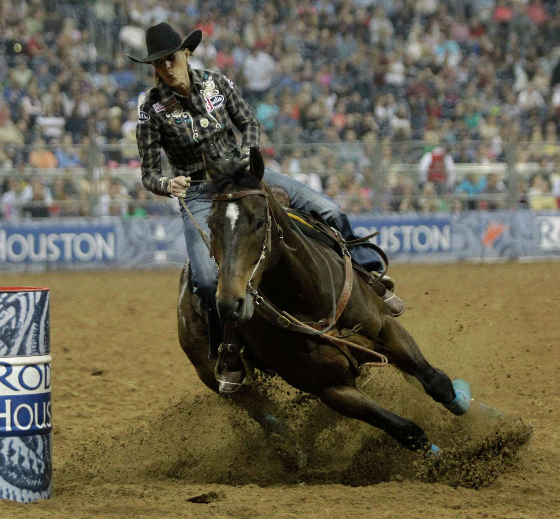 Which RodeoHouston animals are insured?