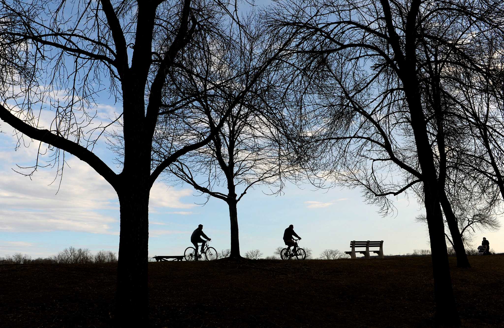 Can it be, at long last, nearly spring?