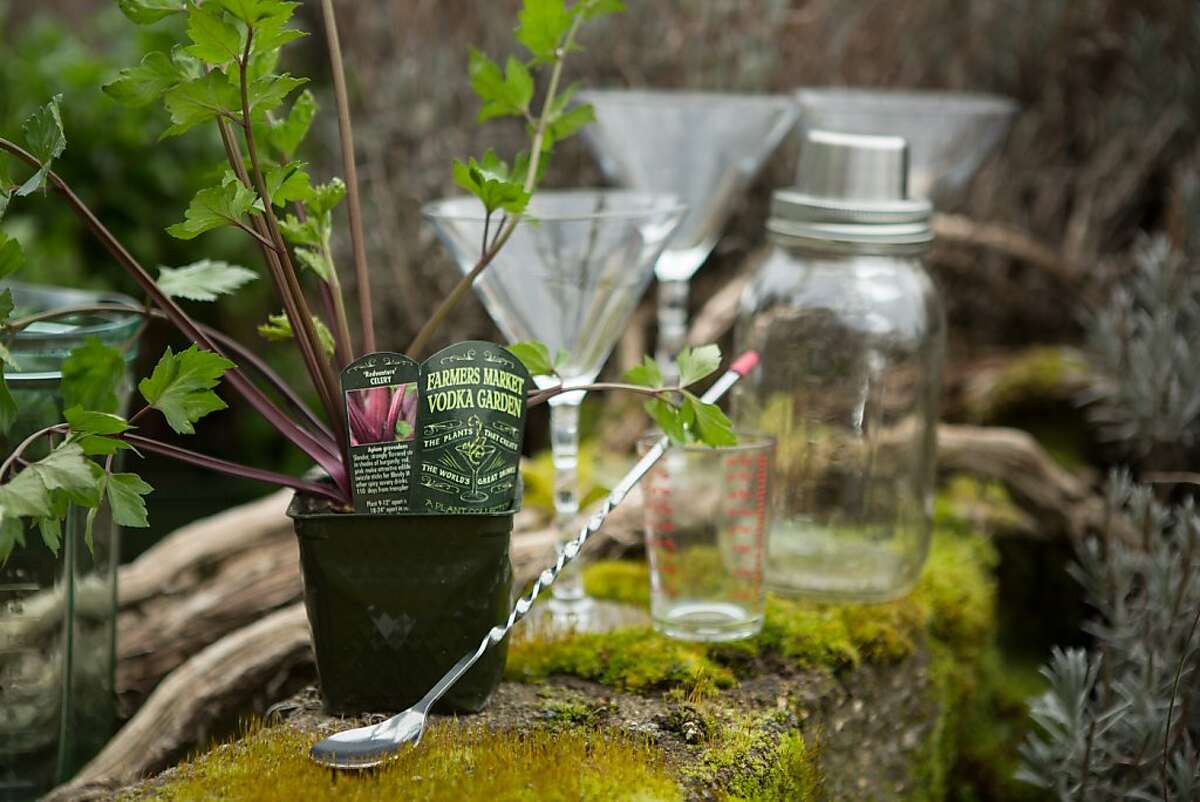 'Drunken Botanist' explores DIY cocktails