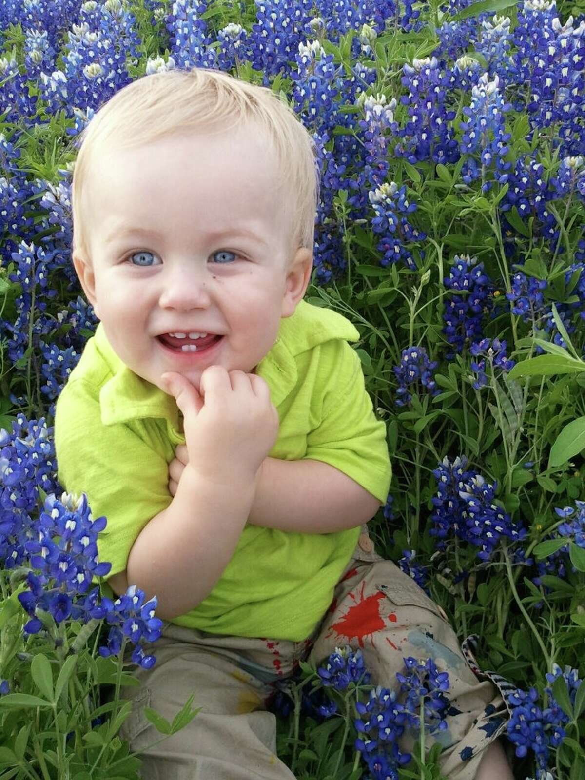Texas forecast could be good news for spring, summer wildflowers