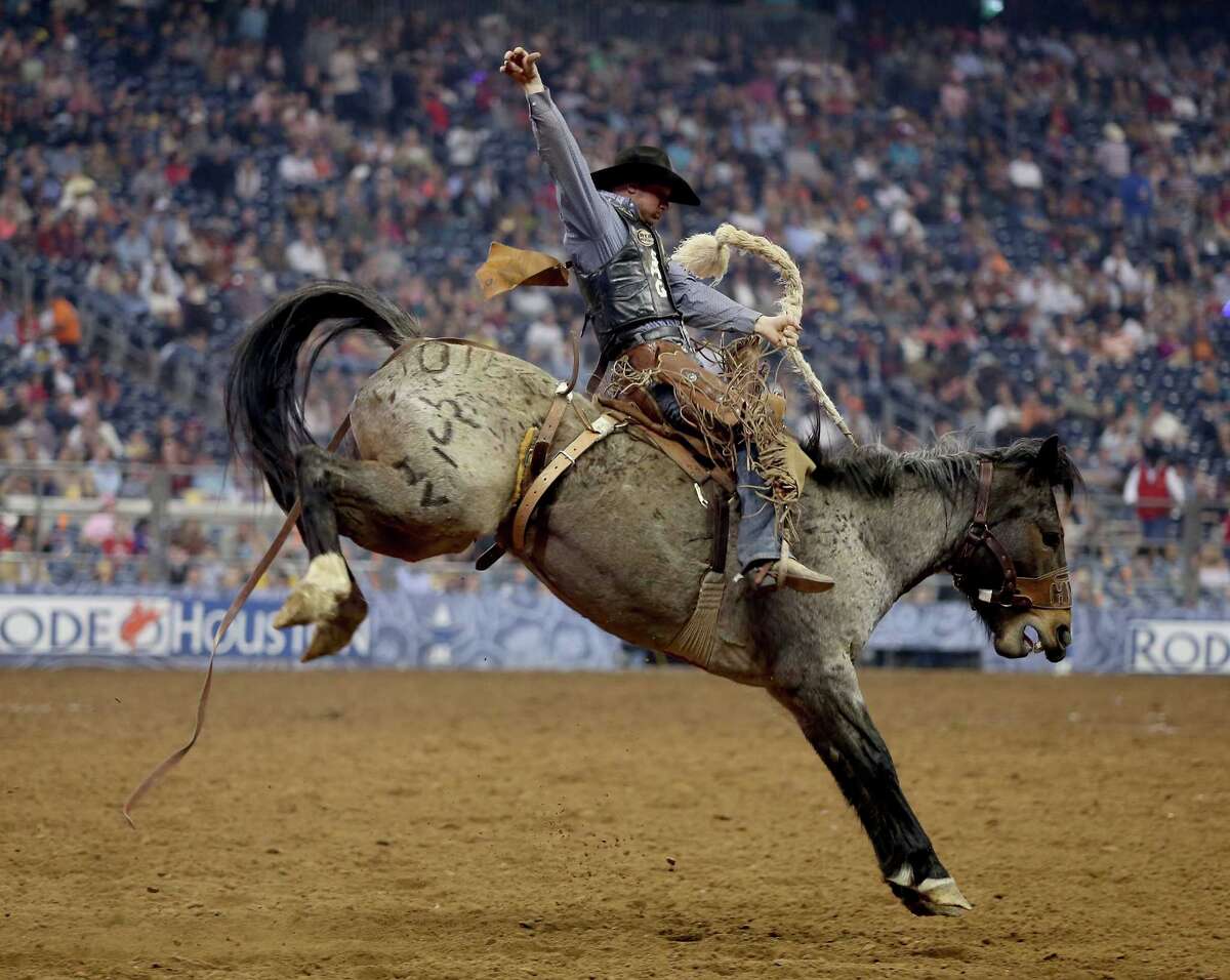 Houston Rodeo selects new leader