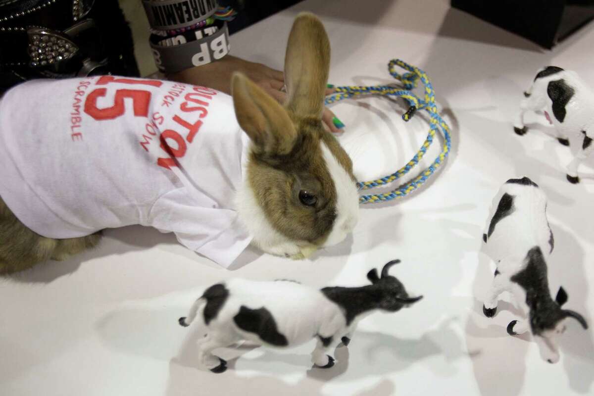 Knit a penguin sweater to help them survive an oil spill