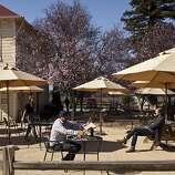 Leslie Rudd exults in Napa's farming bounty - SFGate