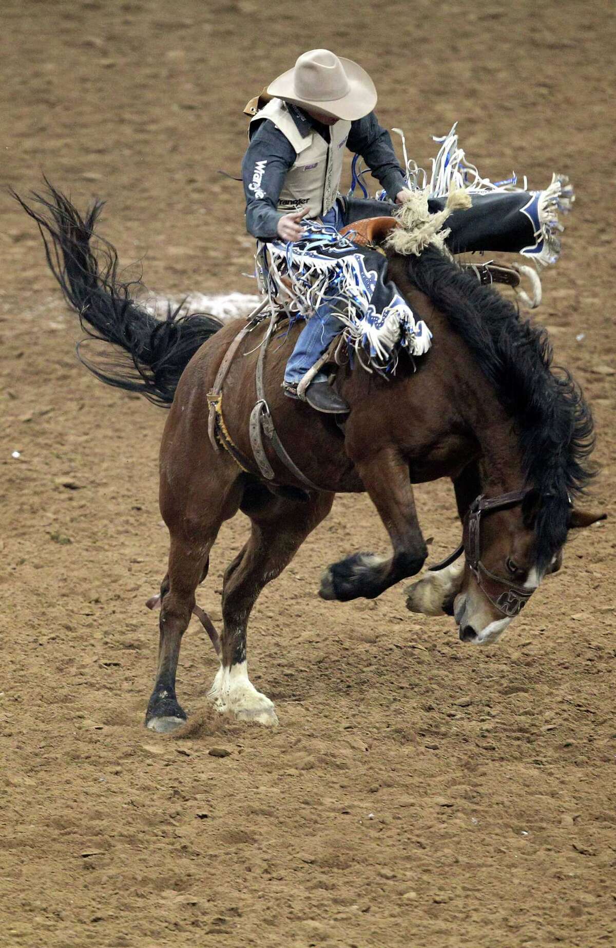 Sundell sweeps Super Series V in saddle bronc