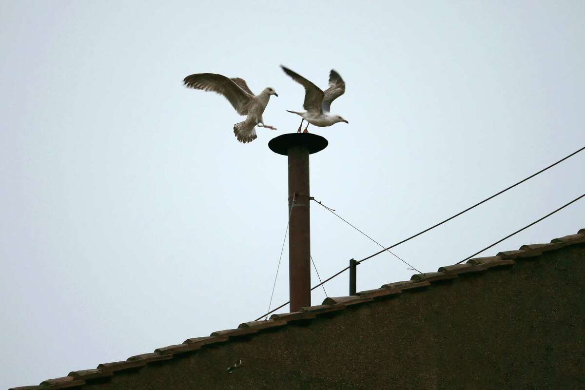 Local Catholics salute the New World's first pope