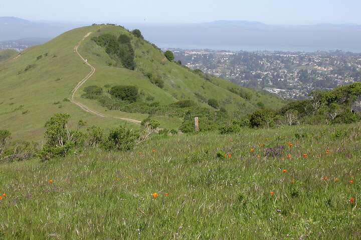 16 of the best biking trails in the Bay Area