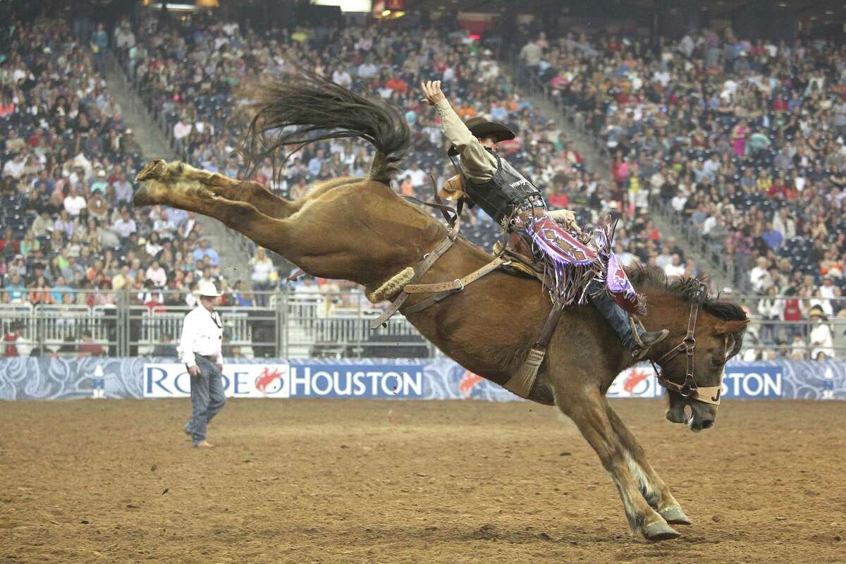 As common as a Cody at the rodeo