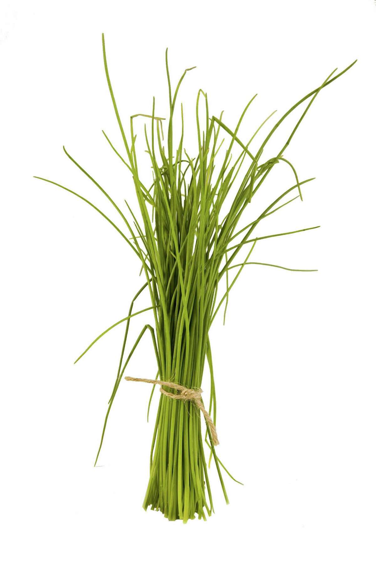 Herbs: a gardener's great companions