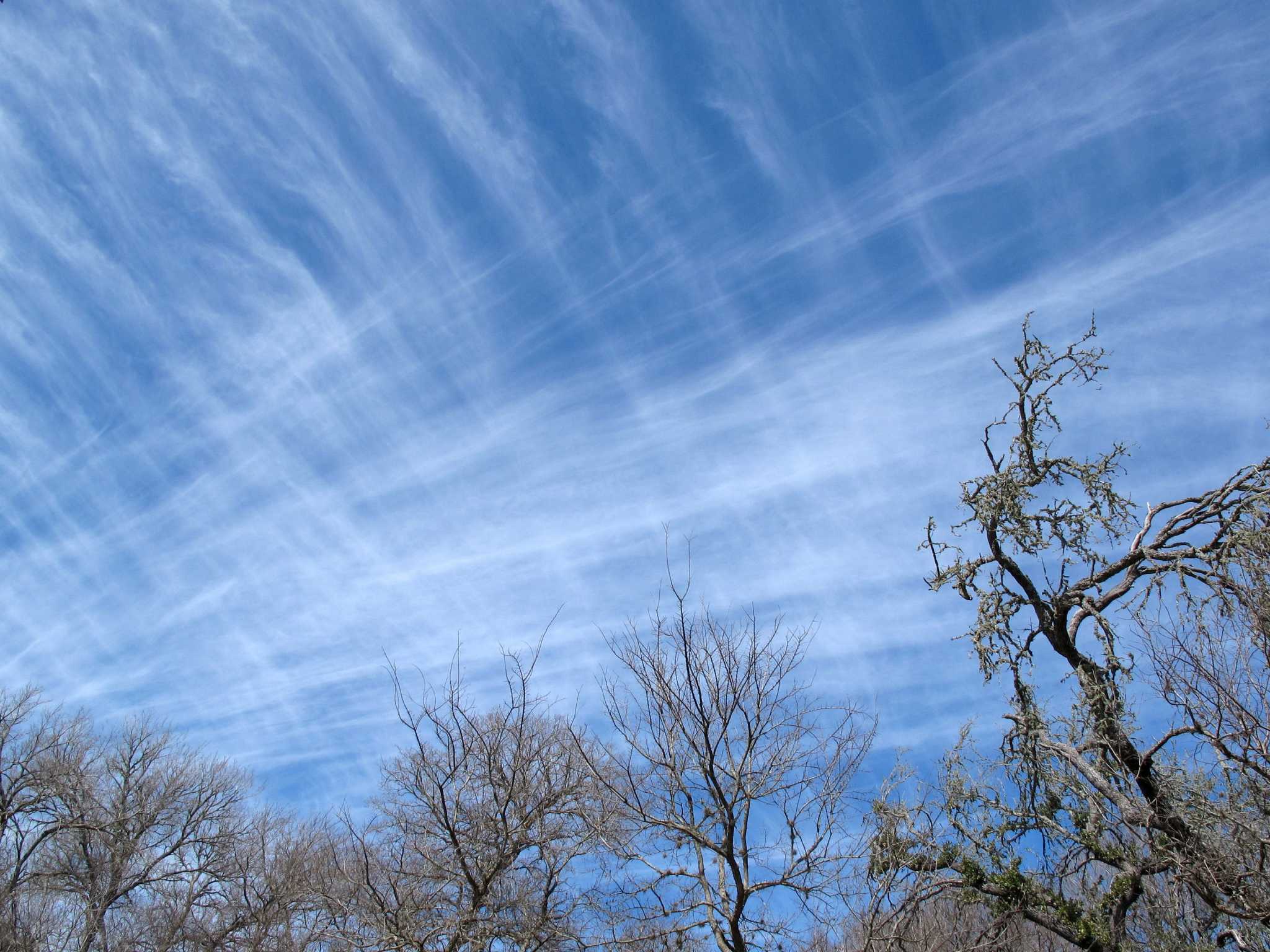 The Country Scientist: Cirrus clouds form beautiful patterns