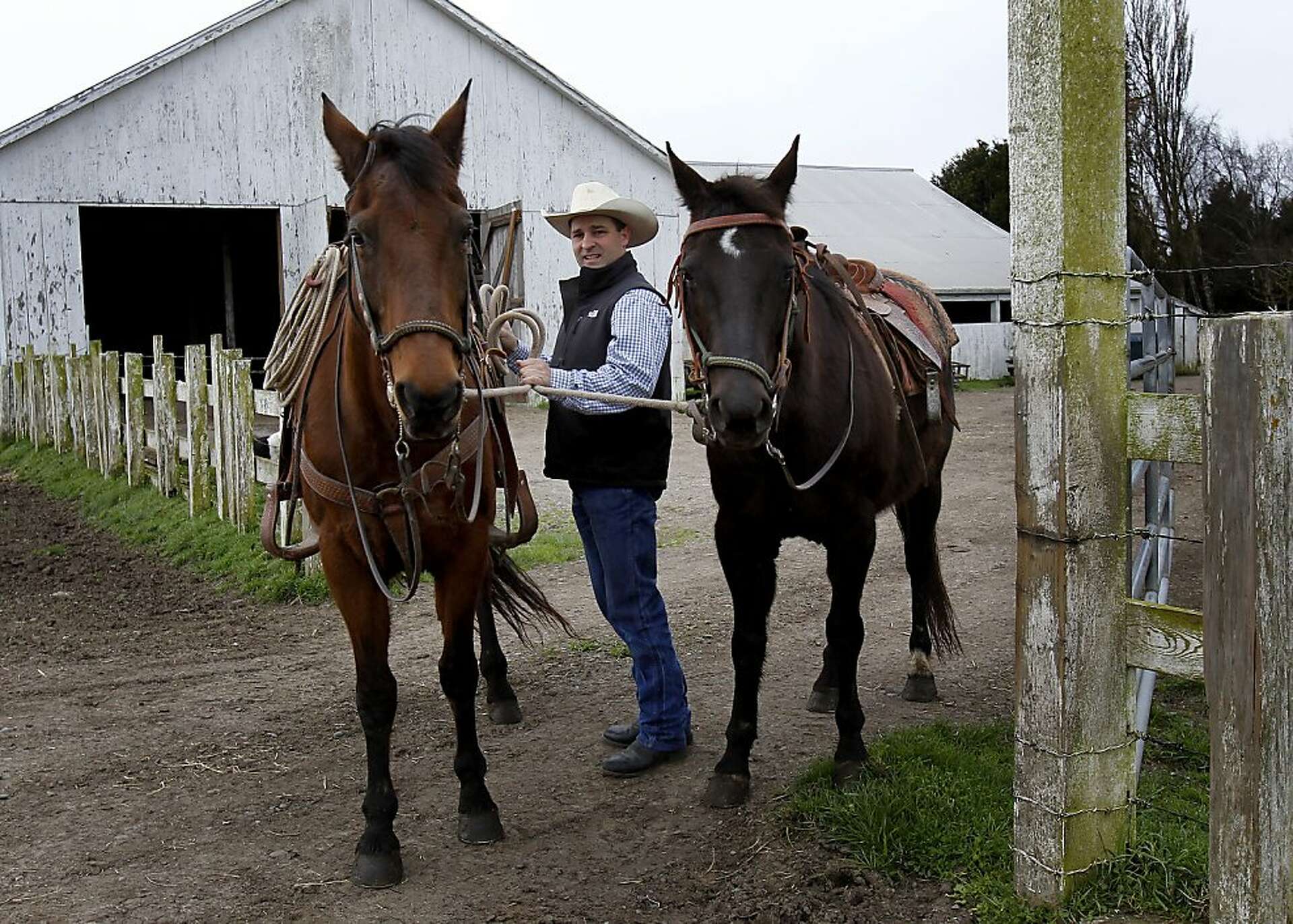 Rancher carves niche with organic beef