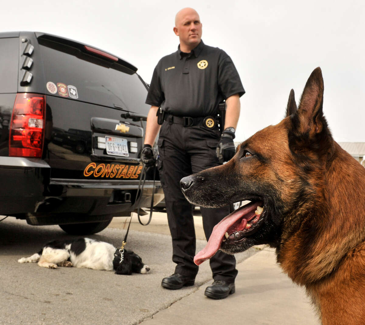 Drug dogs common sight at area schools