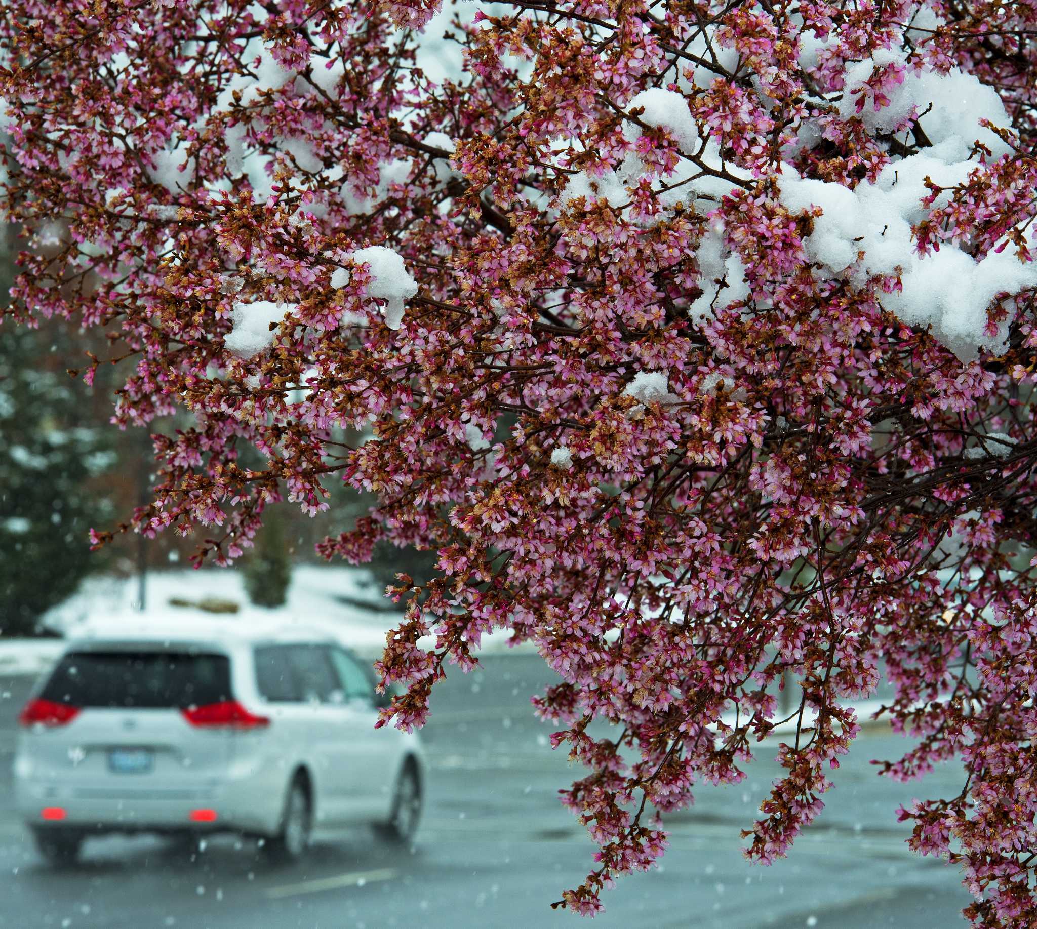 Spring snowstorm hits central states, pushes east