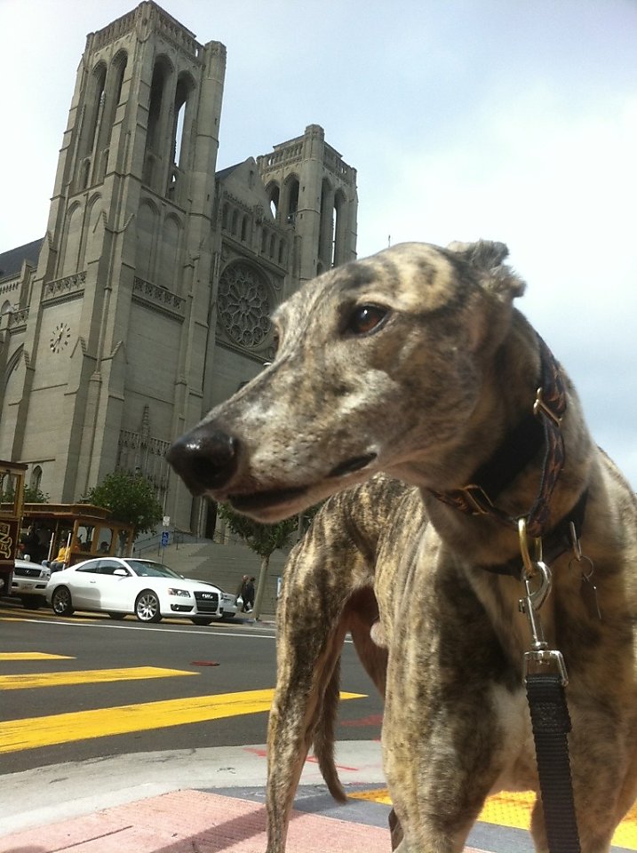 Ex-racer Micah makes fast friends in SF
