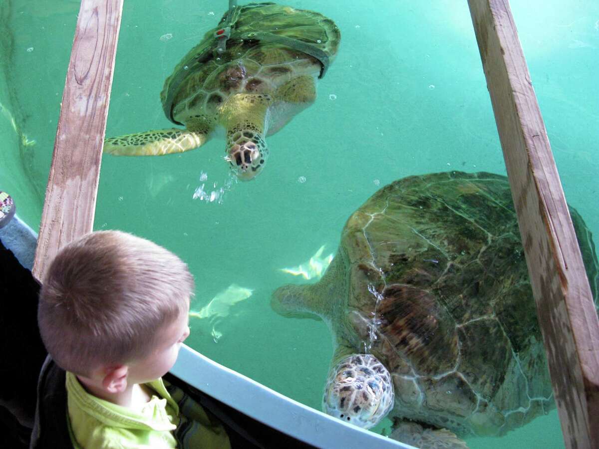 South Padre on any budget