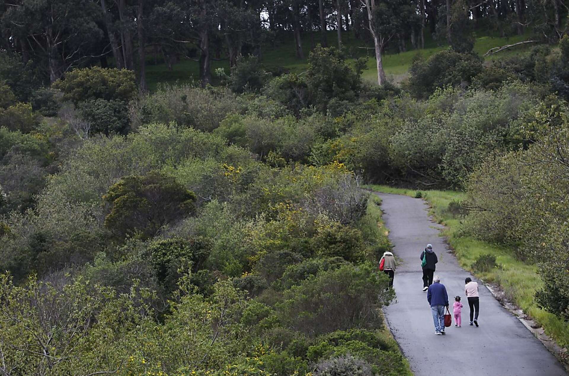 Bayview Hill: A hidden hiking gem in SF