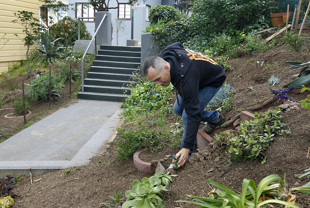 Community gardens provide urban escape