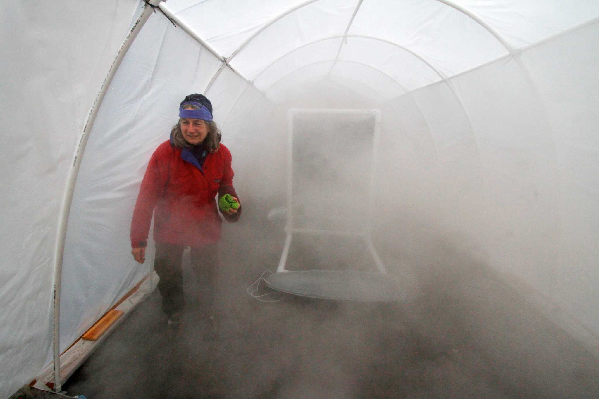 Project seeks to harvest fog for irrigation