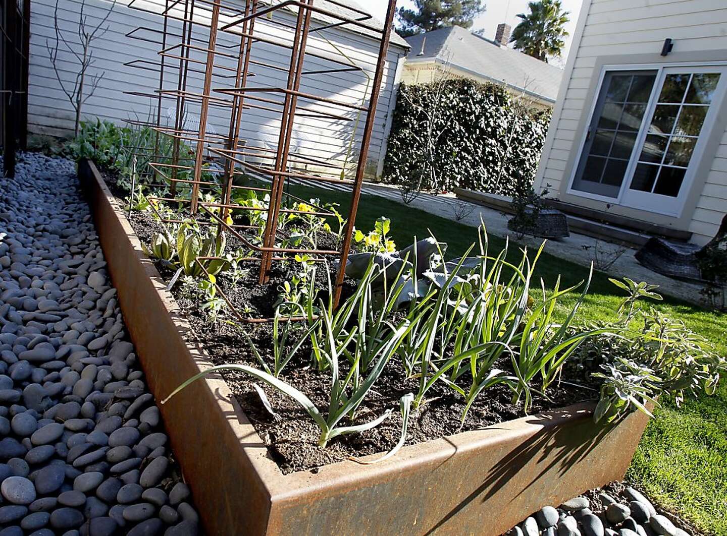 Best fruits and vegetables to plant in Houston for a bountiful garden