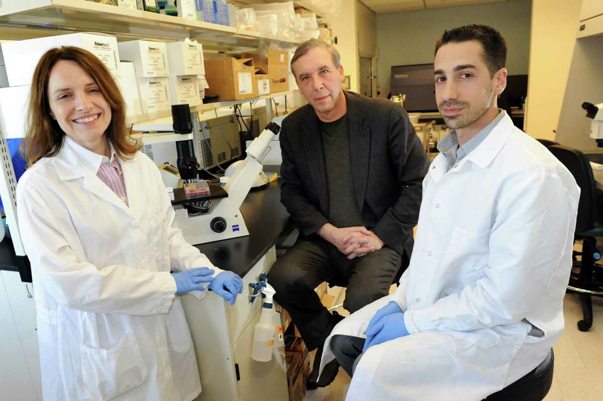 New stem cell 'food' pioneered