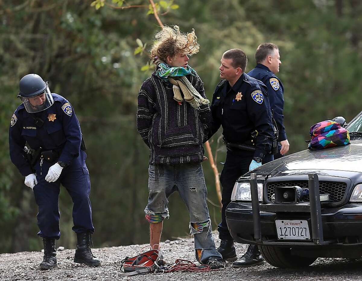 Willits road protesters' trees cut down