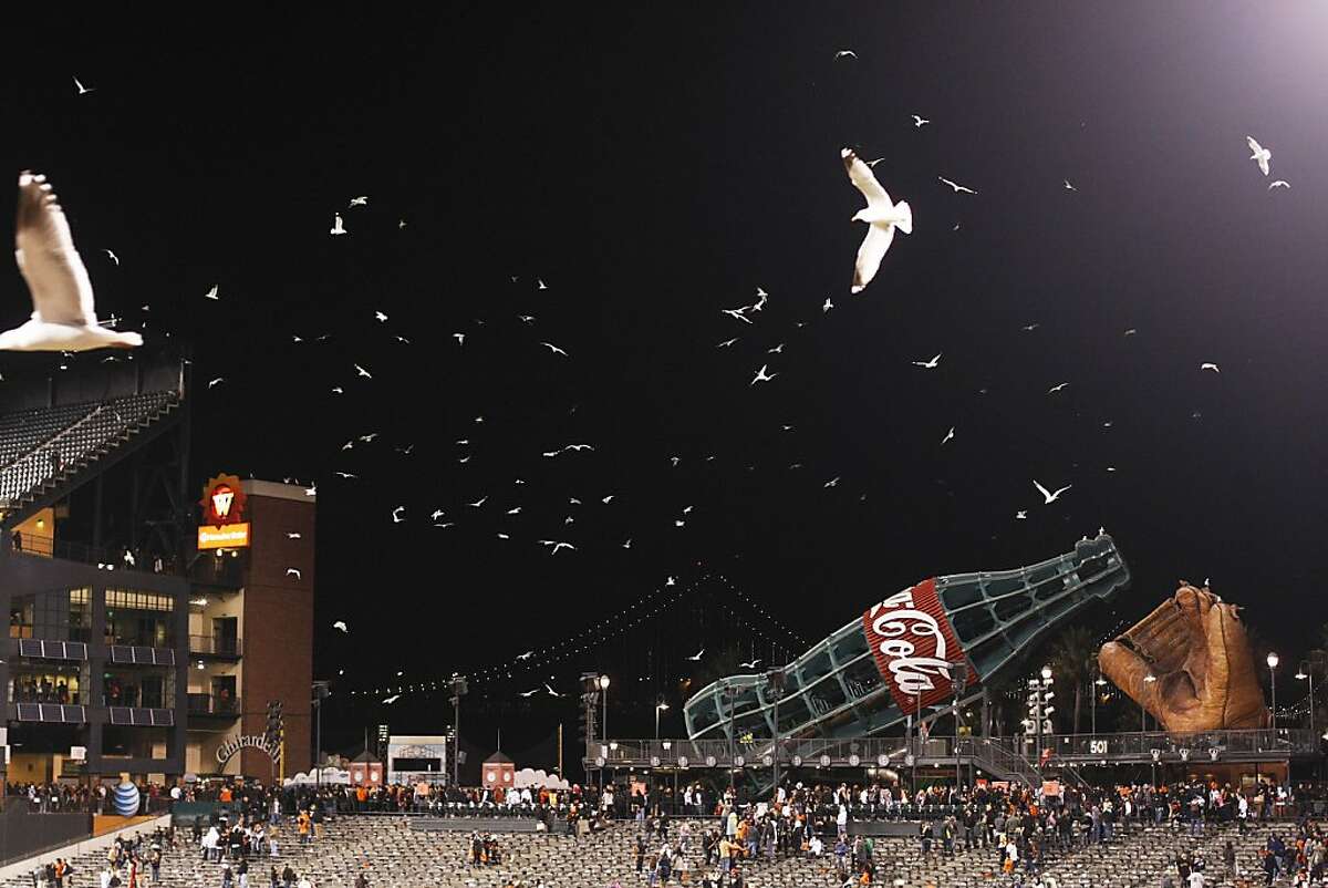 Seagulls have Giants' fans calling foul