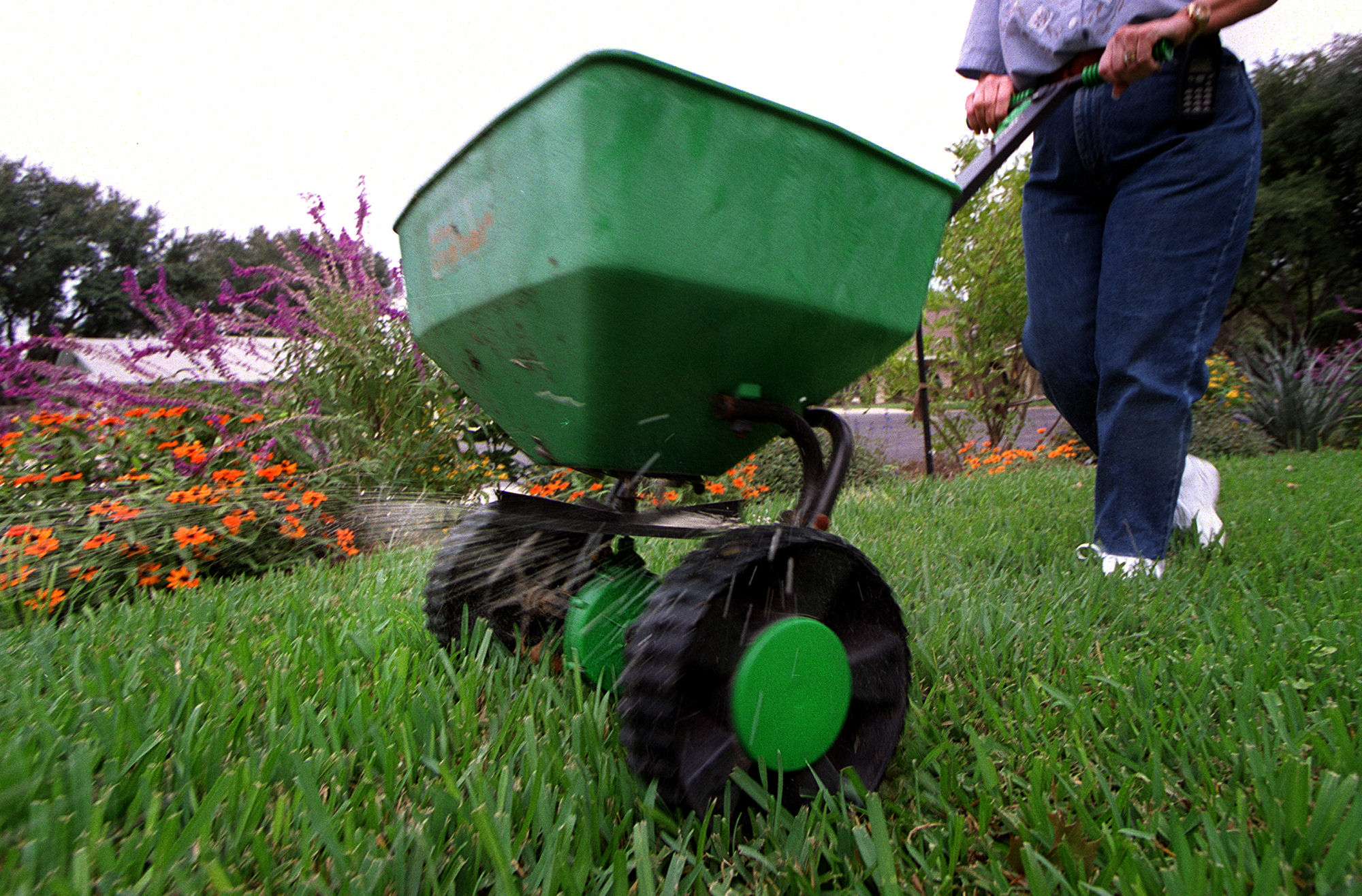 Calvin Finch: Get grass off to a healthy start