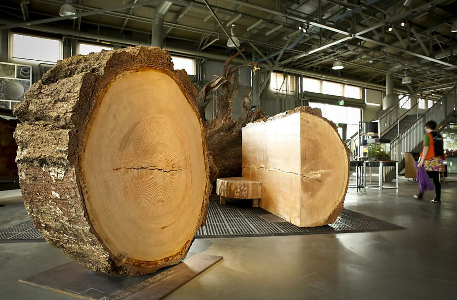 New Exploratorium exhibits ready for visitors