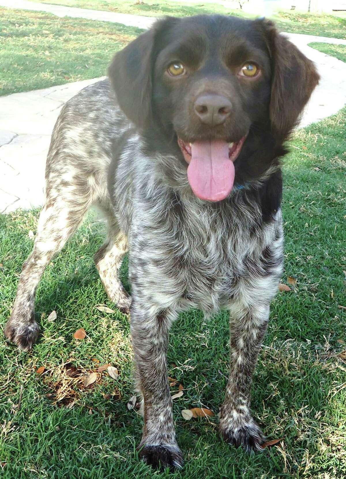 Pethouse Pet of the Week: April 7