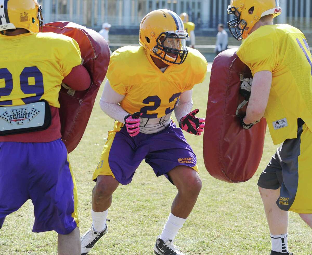 Great Danes tackle a heavier load